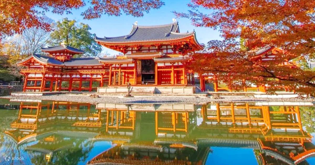 [Nara & Uji] Nara Park & Todaiji Temple & Byodoin Temple & Uji Matcha ...